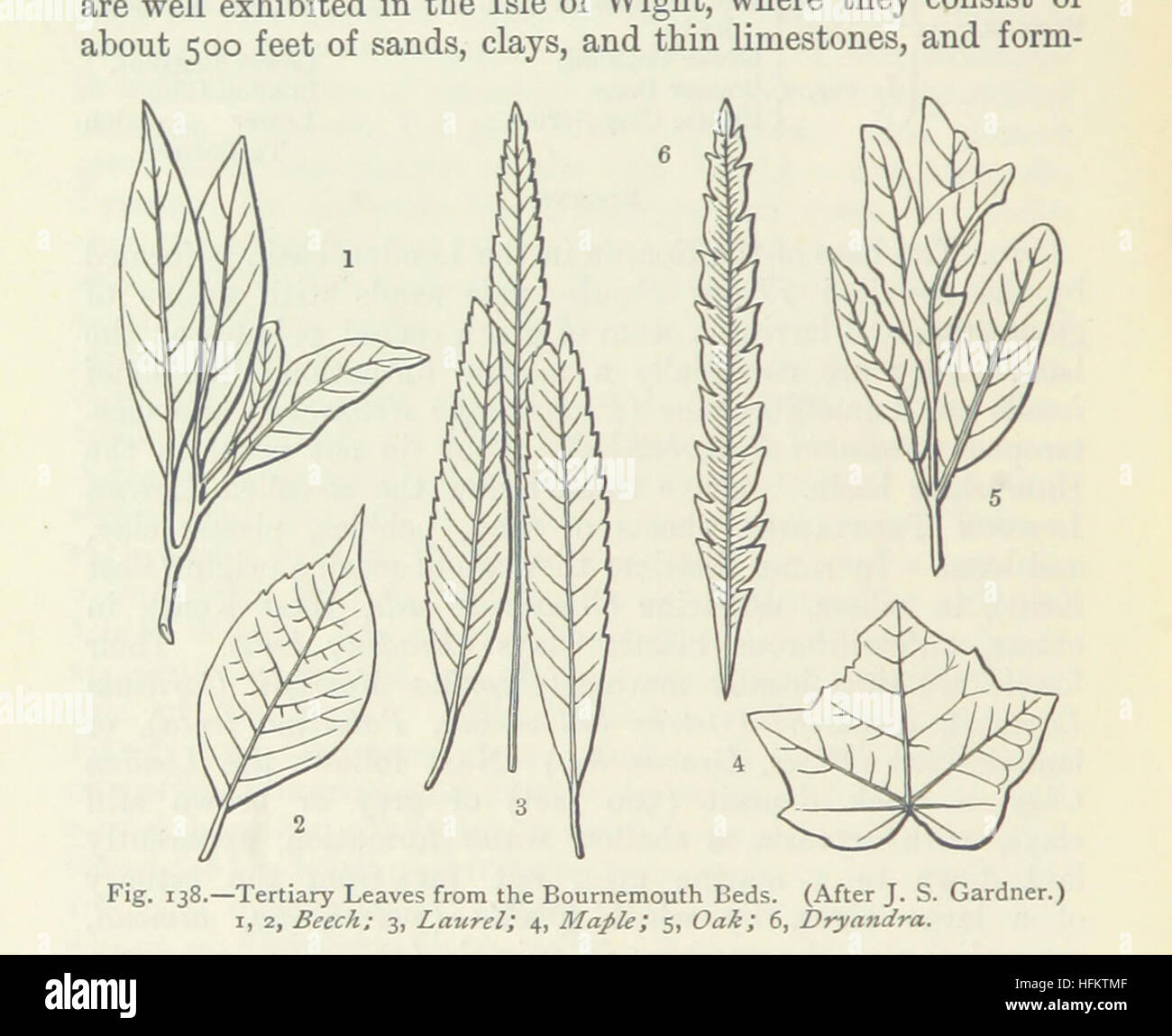 An illustration from 'Introductory Text-book of Geology' showing key ...