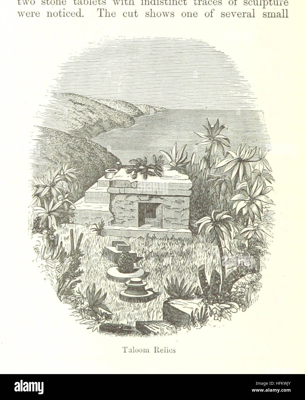 A study of the indigenous populations of the Pacific States of North ...