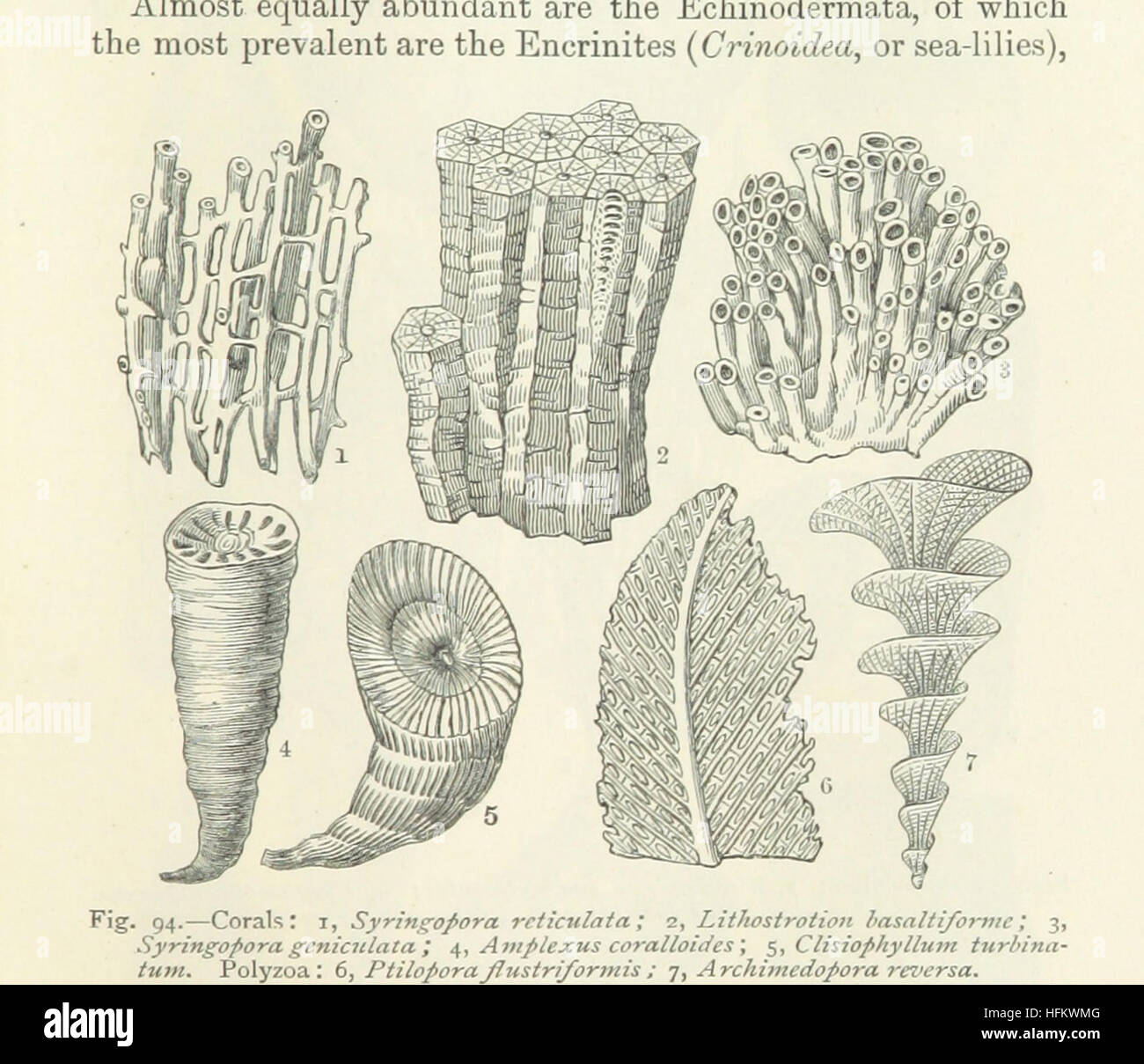 An intermediate-level geology textbook by C. Lapworth, based on the ...