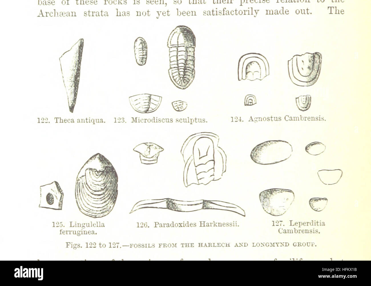 Page 278 of 'Outlines of Geology' discusses key geological processes ...