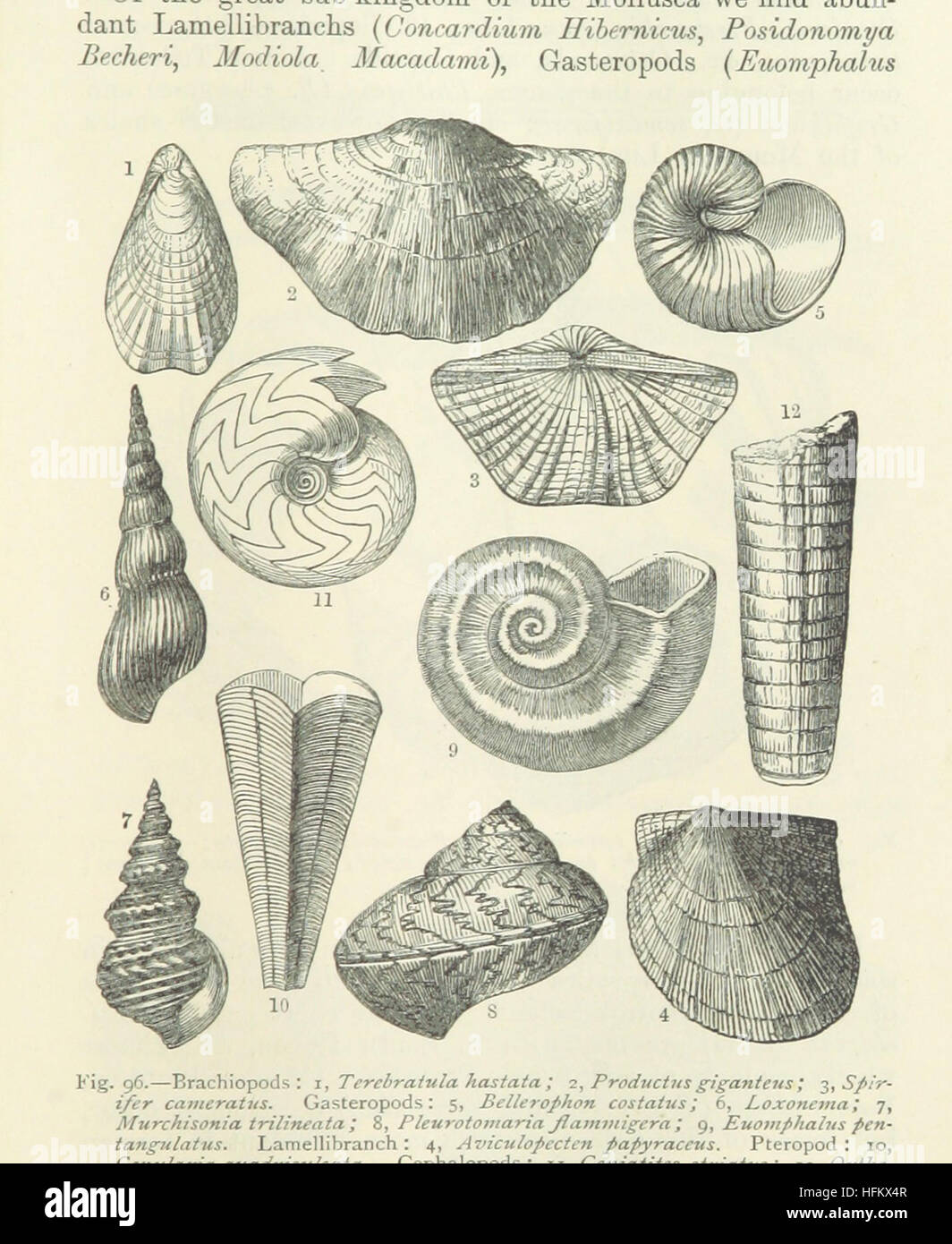 This text-book offers an intermediate-level study of geology, focusing ...