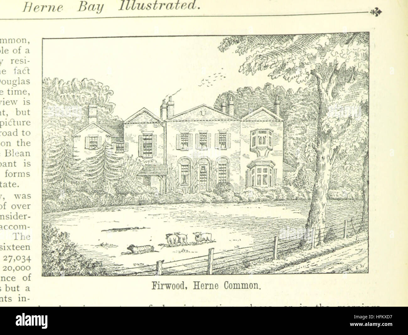 An illustrated work showcasing Herne Bay, with visuals depicting the area’s landscapes, local ...