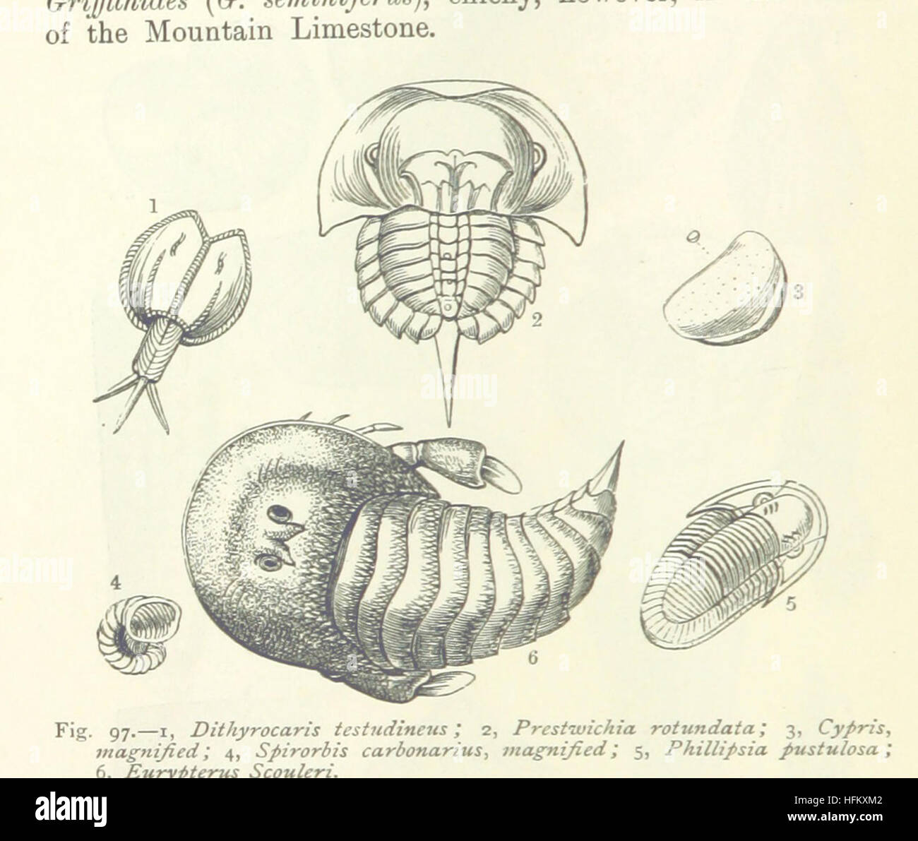 An Intermediate Text-Book of Geology. By C. Lapworth ... Founded on the ...