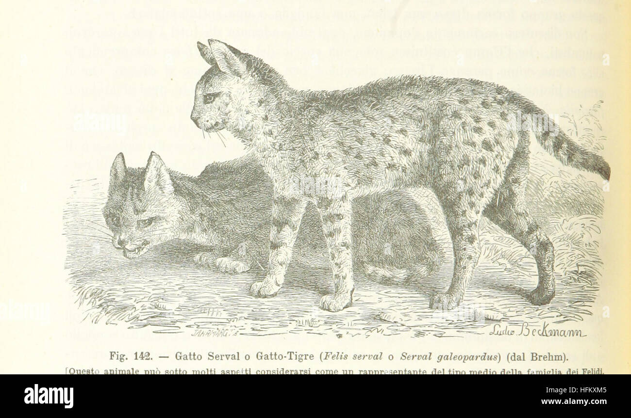 This book discusses general anthropology and human evolution according ...