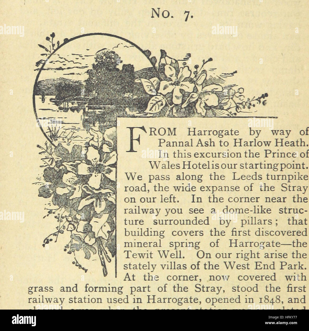This image from 'Thorpe's New Illustrated Guide' presents a detailed ...