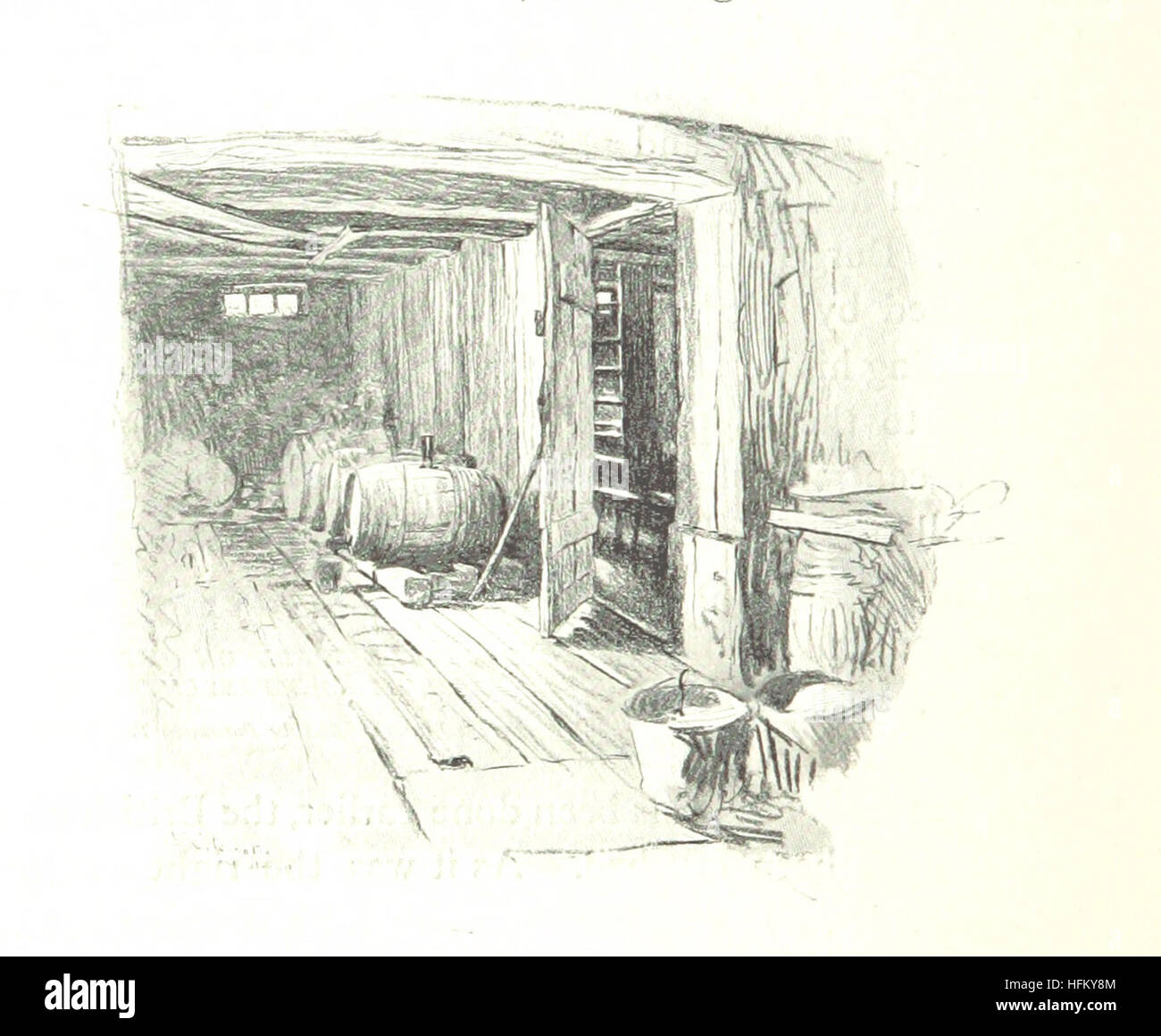 This illustrated work details the events of a significant revolution ...