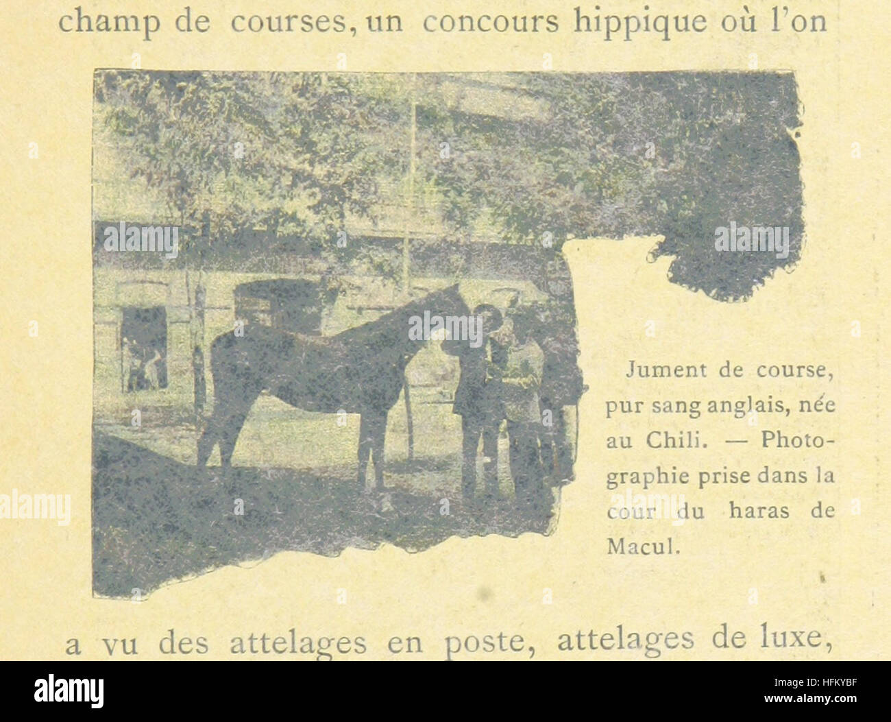A detailed exploration of Chile and its people, focusing on geography ...
