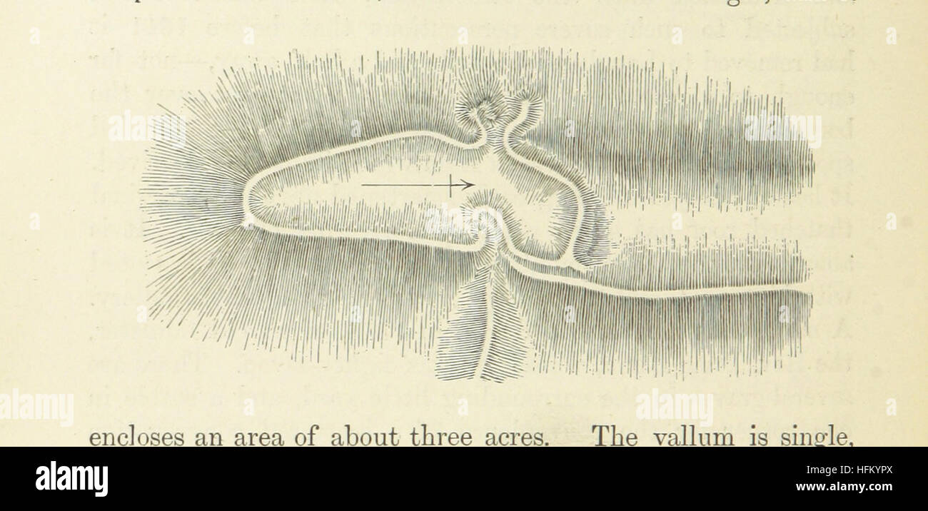 Image from 'The Book of the Axe', detailing the Axe river, its fish ...