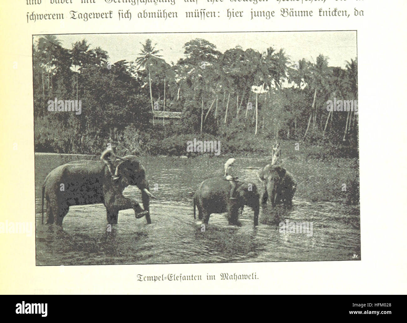 An illustration from 'Um die Erde in Wort und Bild' by Paul Lindenberg ...