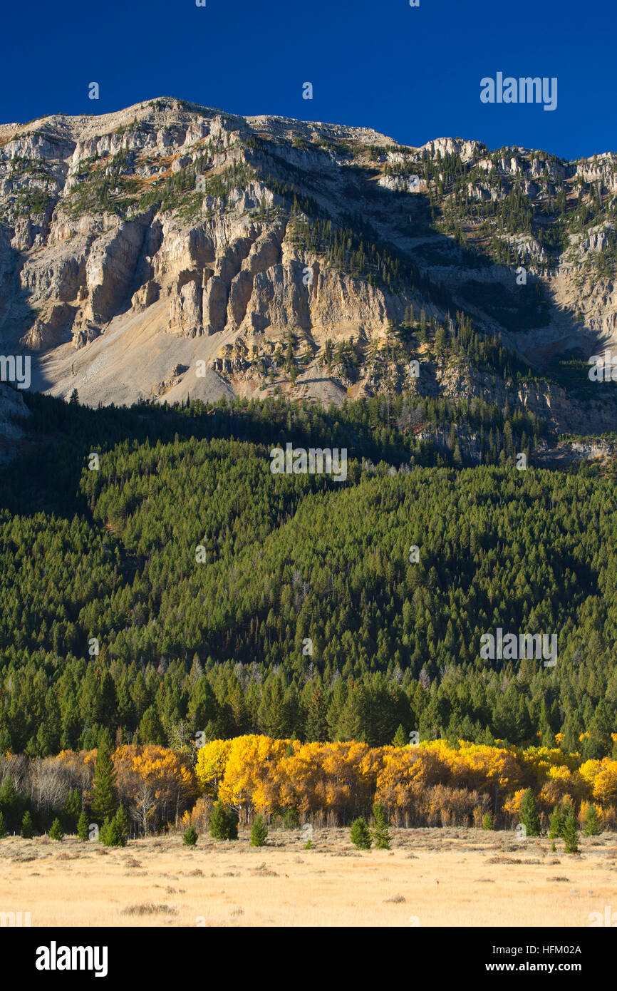 Taylor Mountain in Centennial Mountains, Red Rock Lakes National ...