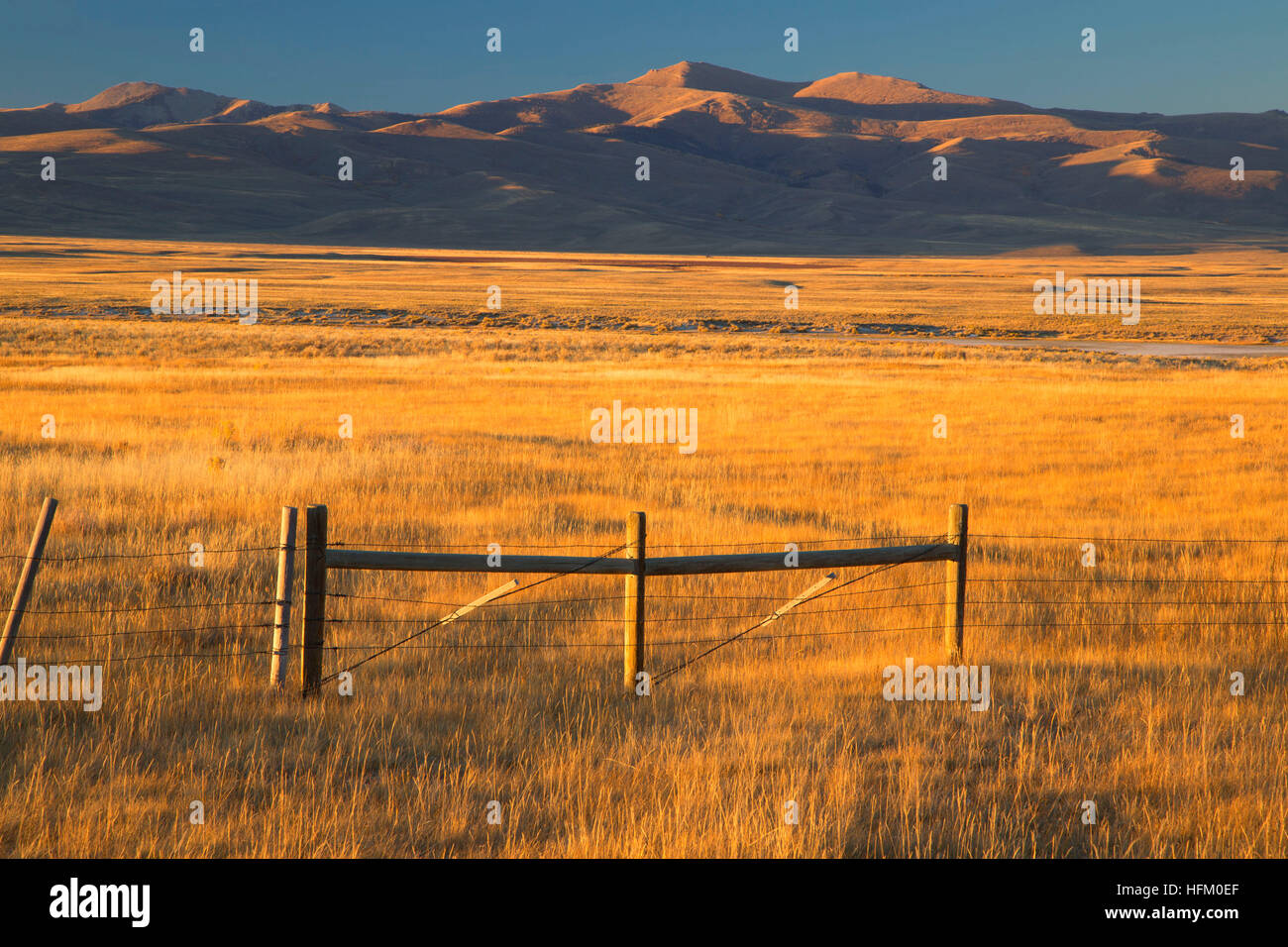 Centennial Valley grassland with fence, Beaverhead County, Montana ...