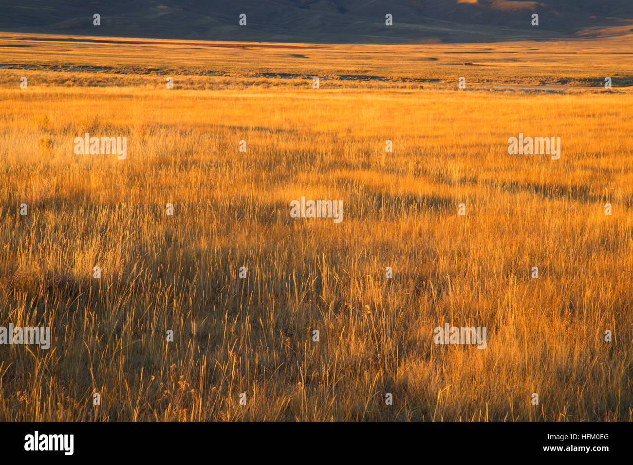 Centennial valley hi-res stock photography and images - Alamy