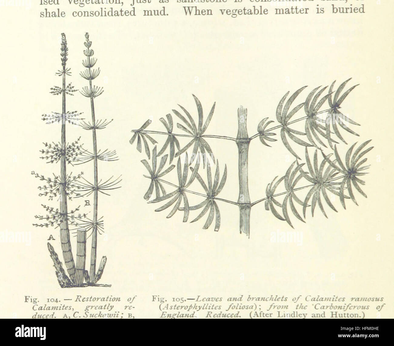 An intermediate-level geology textbook based on foundational texts ...