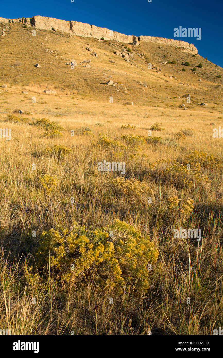 Madison Buffalo Jump, Madison Buffalo Jump State Park, Montana Stock ...