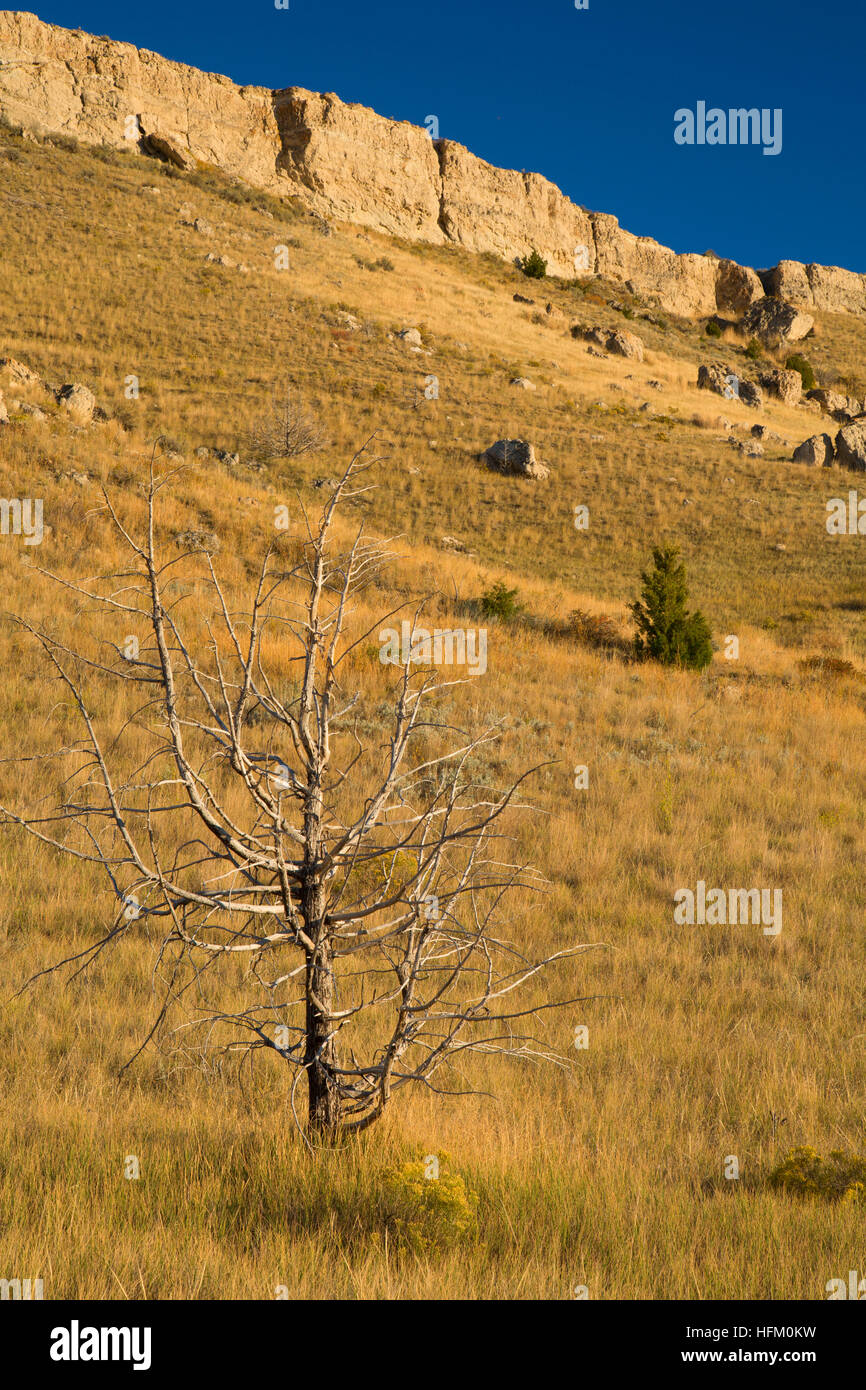 Madison Buffalo Jump, Madison Buffalo Jump State Park, Montana Stock ...