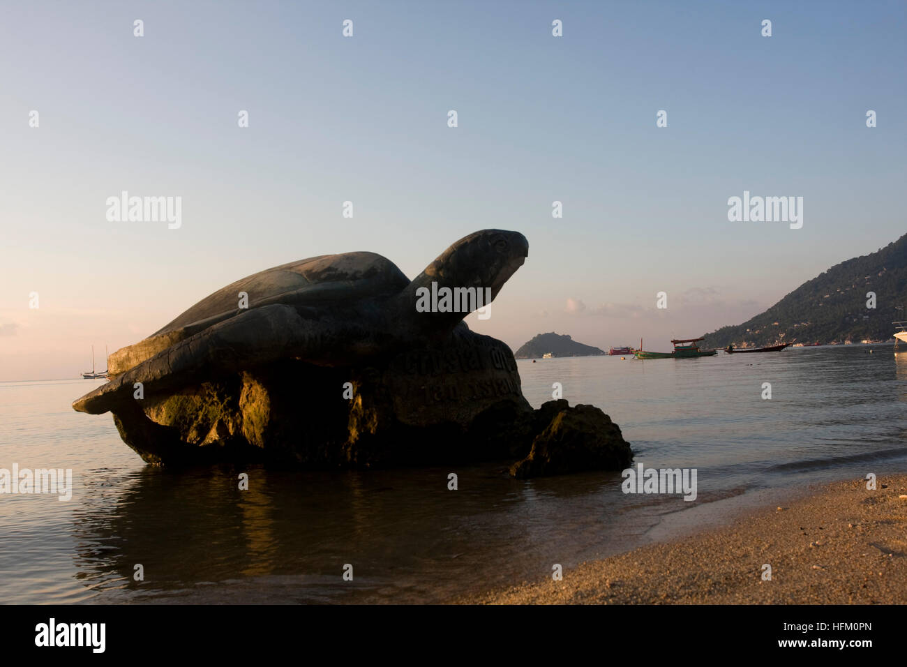 Gulf of thailand turtle hi-res stock photography and images - Alamy