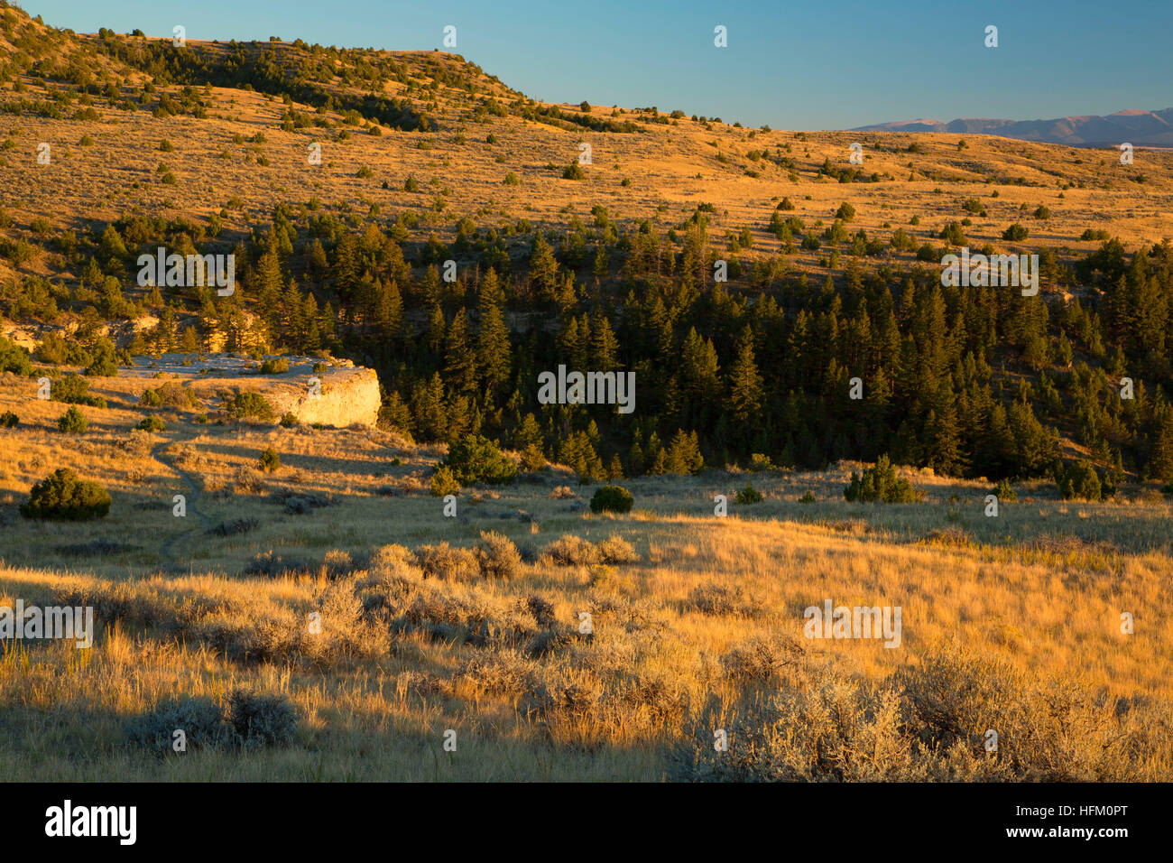 Madison Buffalo Jump, Madison Buffalo Jump State Park, Montana Stock ...
