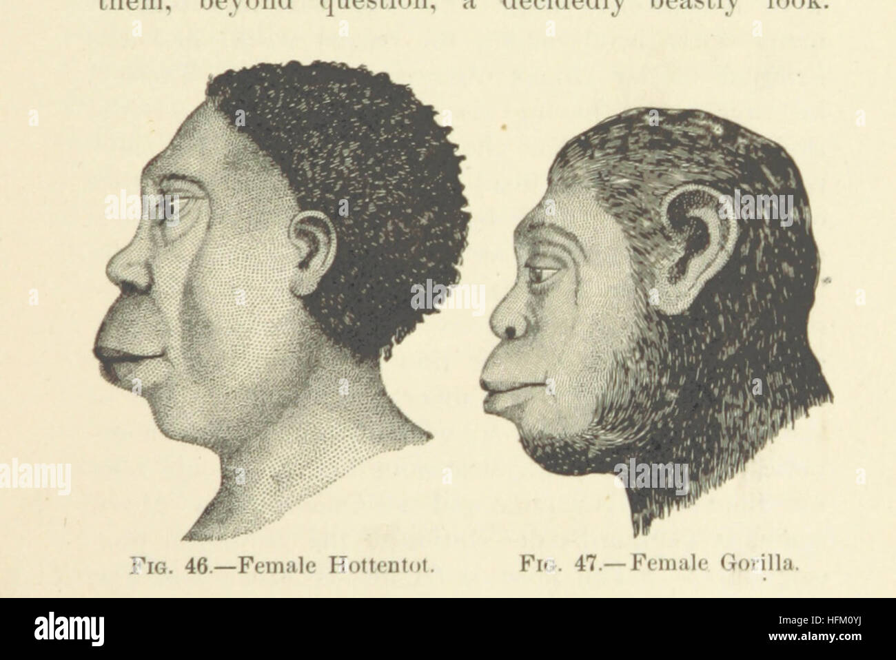 This image from 'Preadamites' presents a controversial historical ...