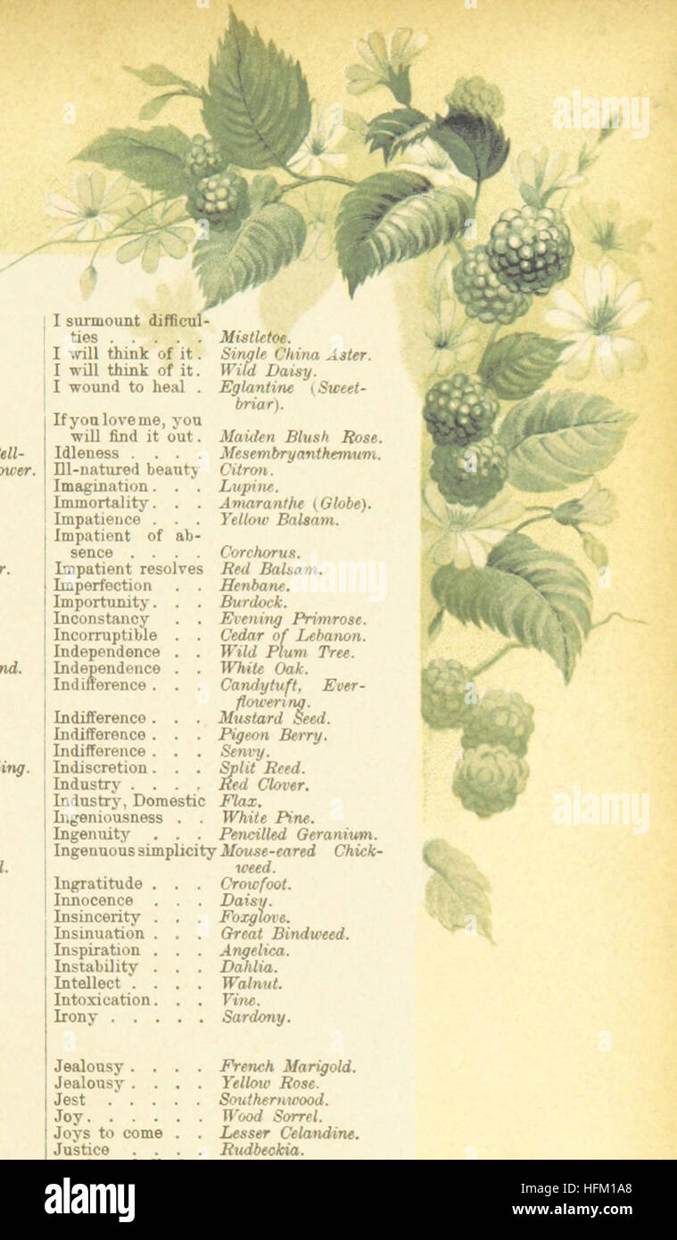 'The Artistic Language of Flowers' explores the symbolism of flowers ...