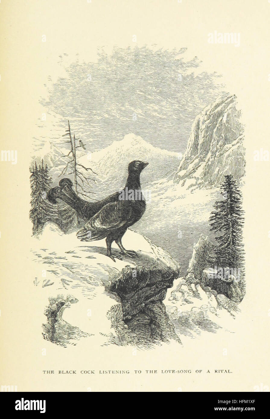 This image from 'Tyrol and the Tyrolese' depicts the people, land, and ...