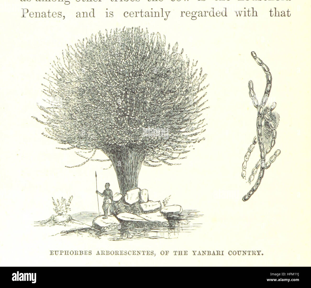 An exploration of Central Africa, focusing on expeditions to Lake ...