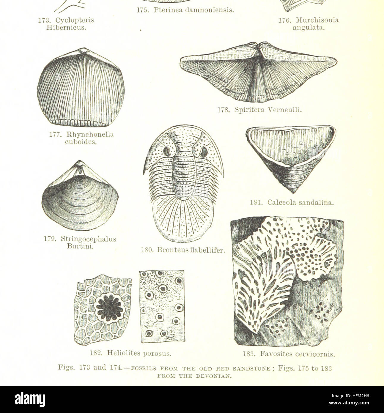 This image shows geological illustrations from 'Outlines of Geology ...