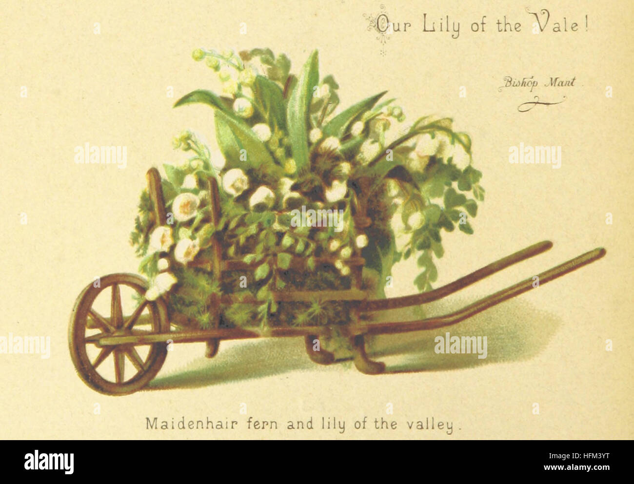 Artistic language flowers illustrations image hi-res stock photography ...