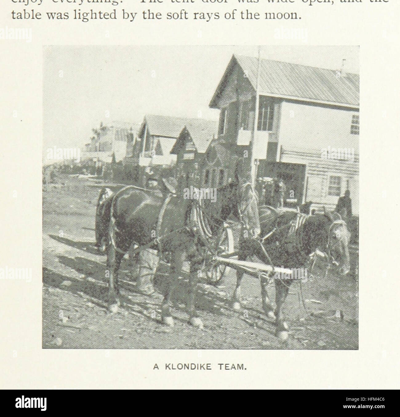 The story of two women’s journey to the Klondike gold fields in Alaska ...