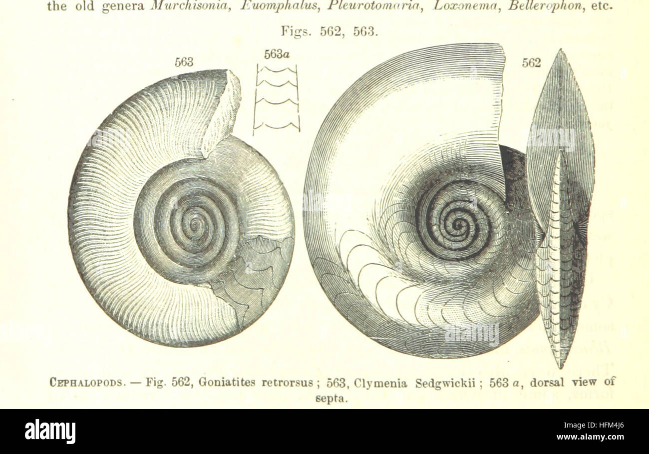 This manual provides a detailed overview of geology principles, with a ...
