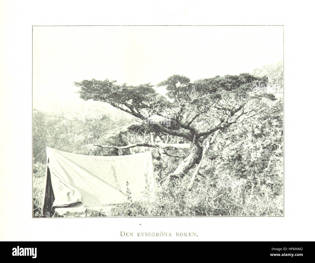 1895 map medium page hi-res stock photography and images - Alamy