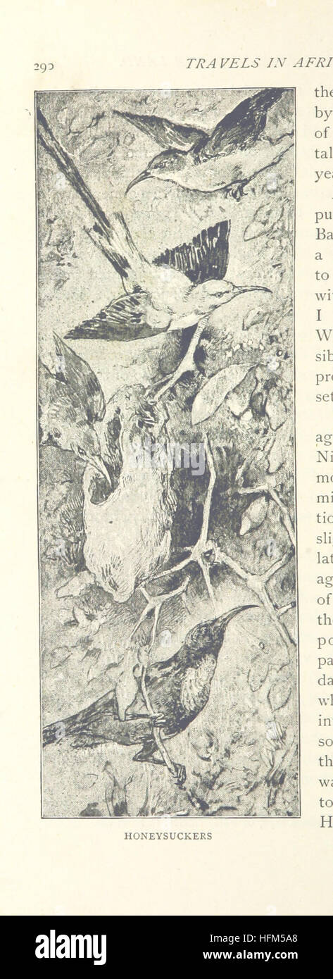 This account of travels in Africa during 1875-1878 chronicles the ...