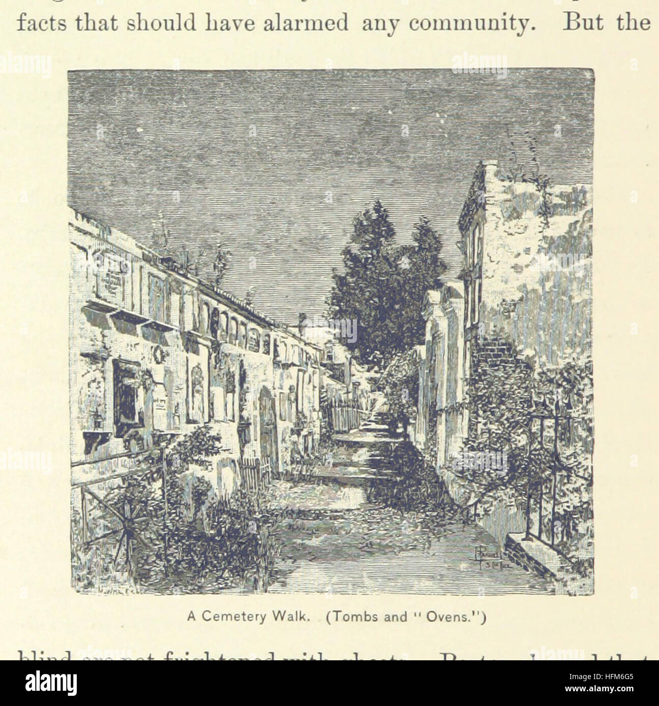 This image from 'The Creoles of Louisiana' provides an insightful look ...