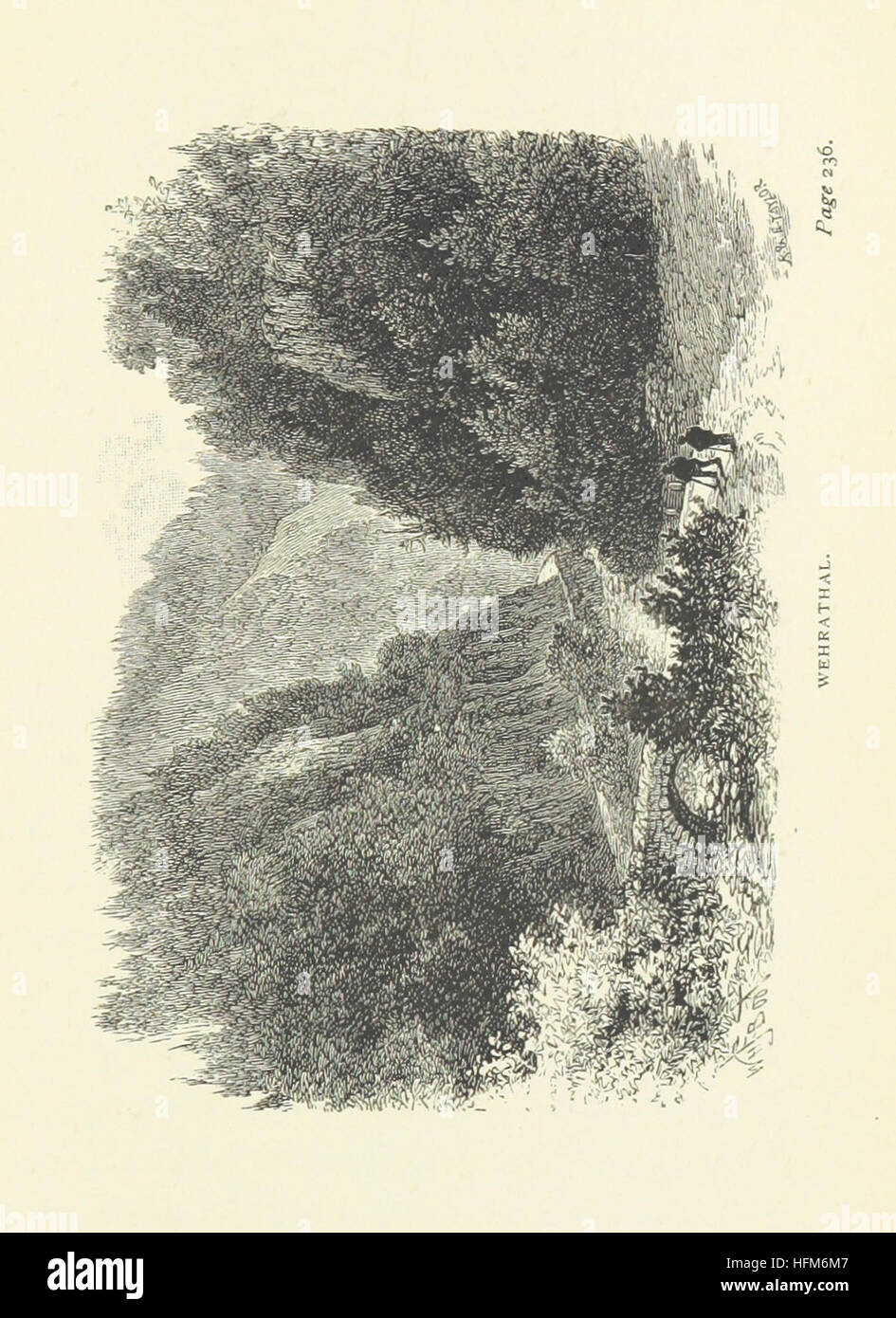 A narrative about the Black Forest, focusing on the landscape, wildlife ...