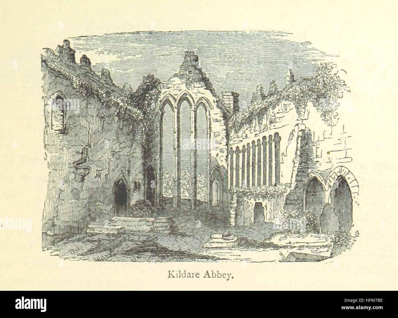 An illustration from 'A History of the Irish Nation', detailing Ireland ...