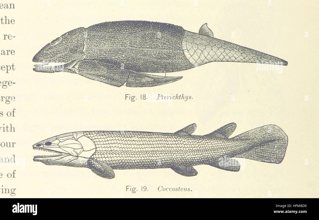 Image from 'Gately's World's Progress', outlining the history of the ...