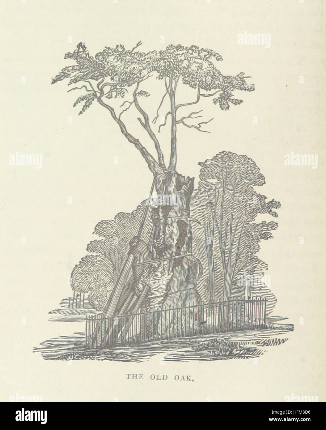 Image from page 32 of 'Guide to Knole House,' featuring detailed ...