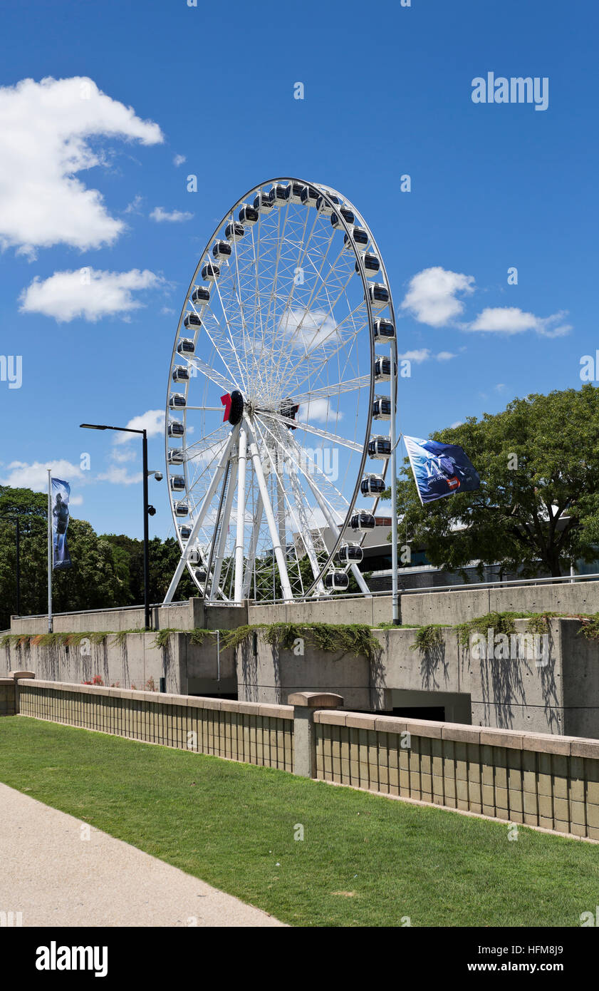 The Wheel of Brisbane is an almost 60 metres tall ferris wheel ...