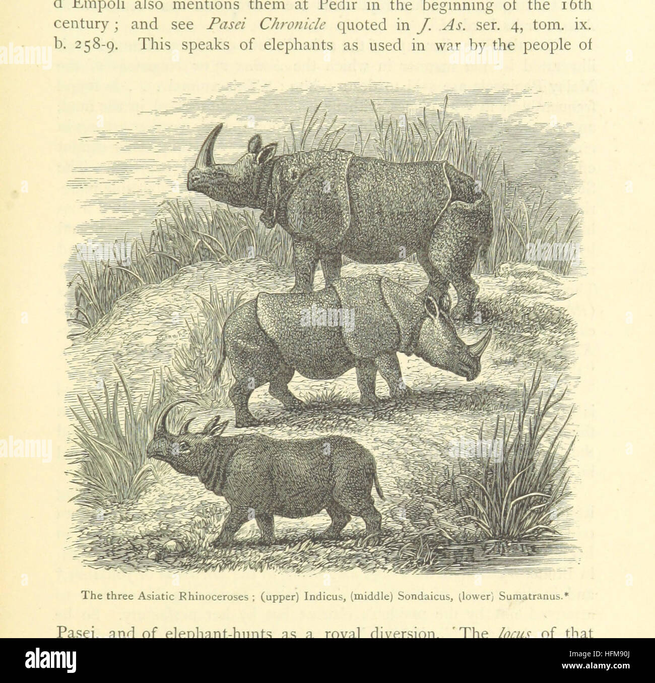 An image from 'The Book of Ser Marco Polo', detailing Polo's travels ...