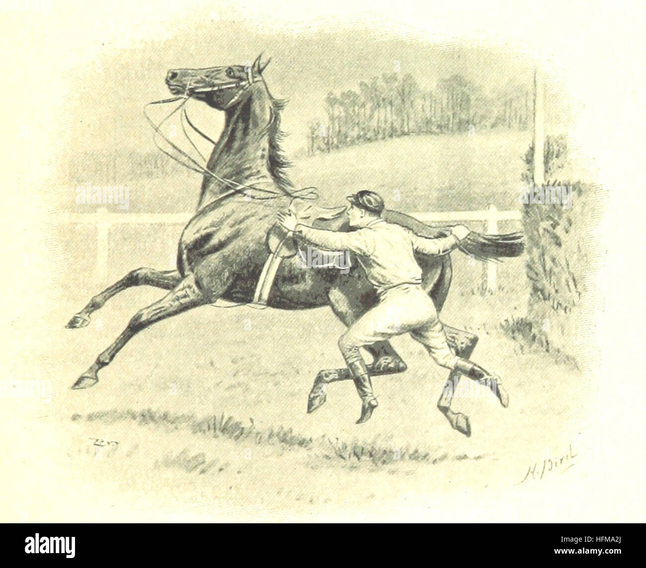 This image from 'Racing and Chasing' presents a collection of sporting ...