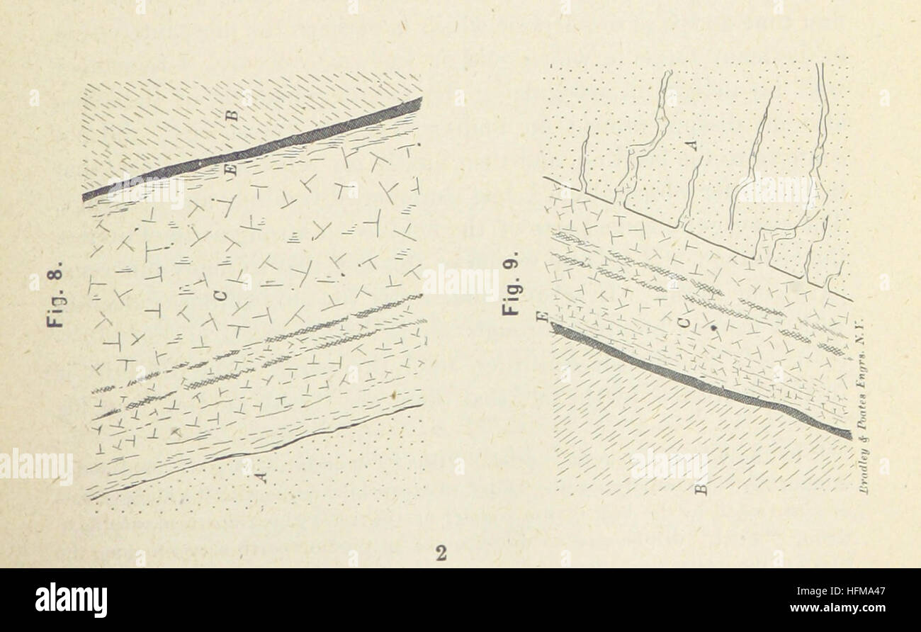 A collection of articles reprinted from periodicals, covering various ...