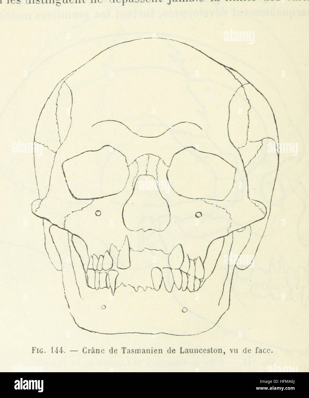 An illustration from 'Hommes fossiles et hommes sauvages', an ...