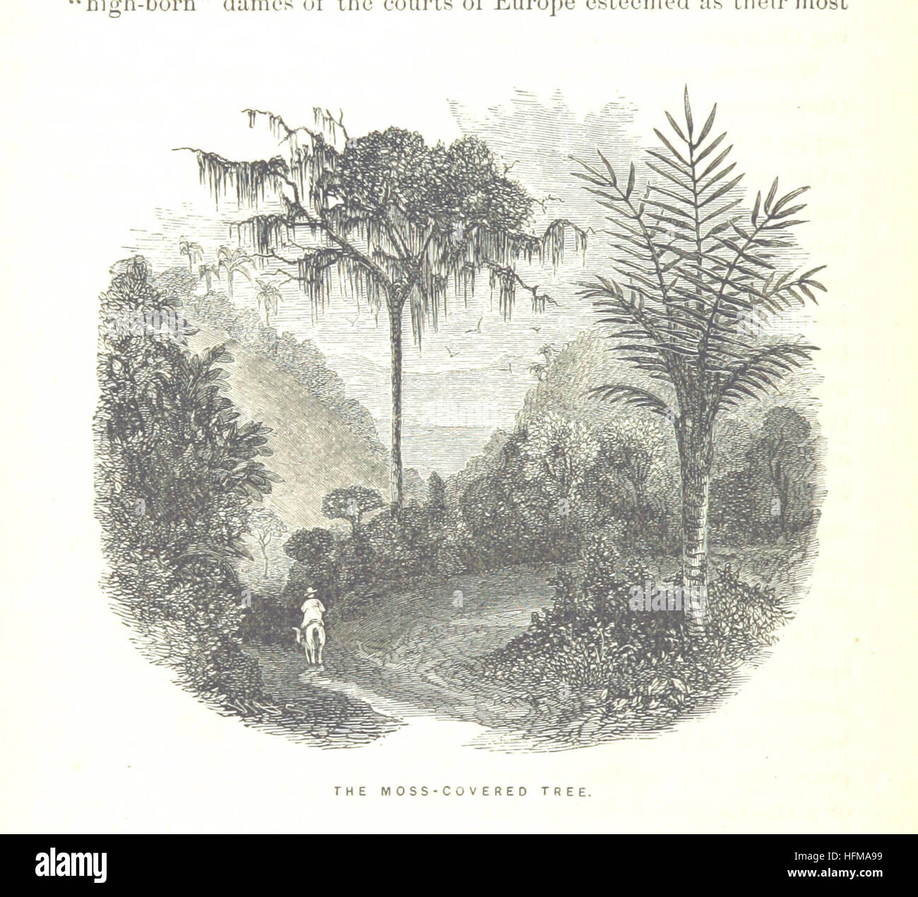 [Brazil and the Brazilians ... in historical and descriptive sketches ...