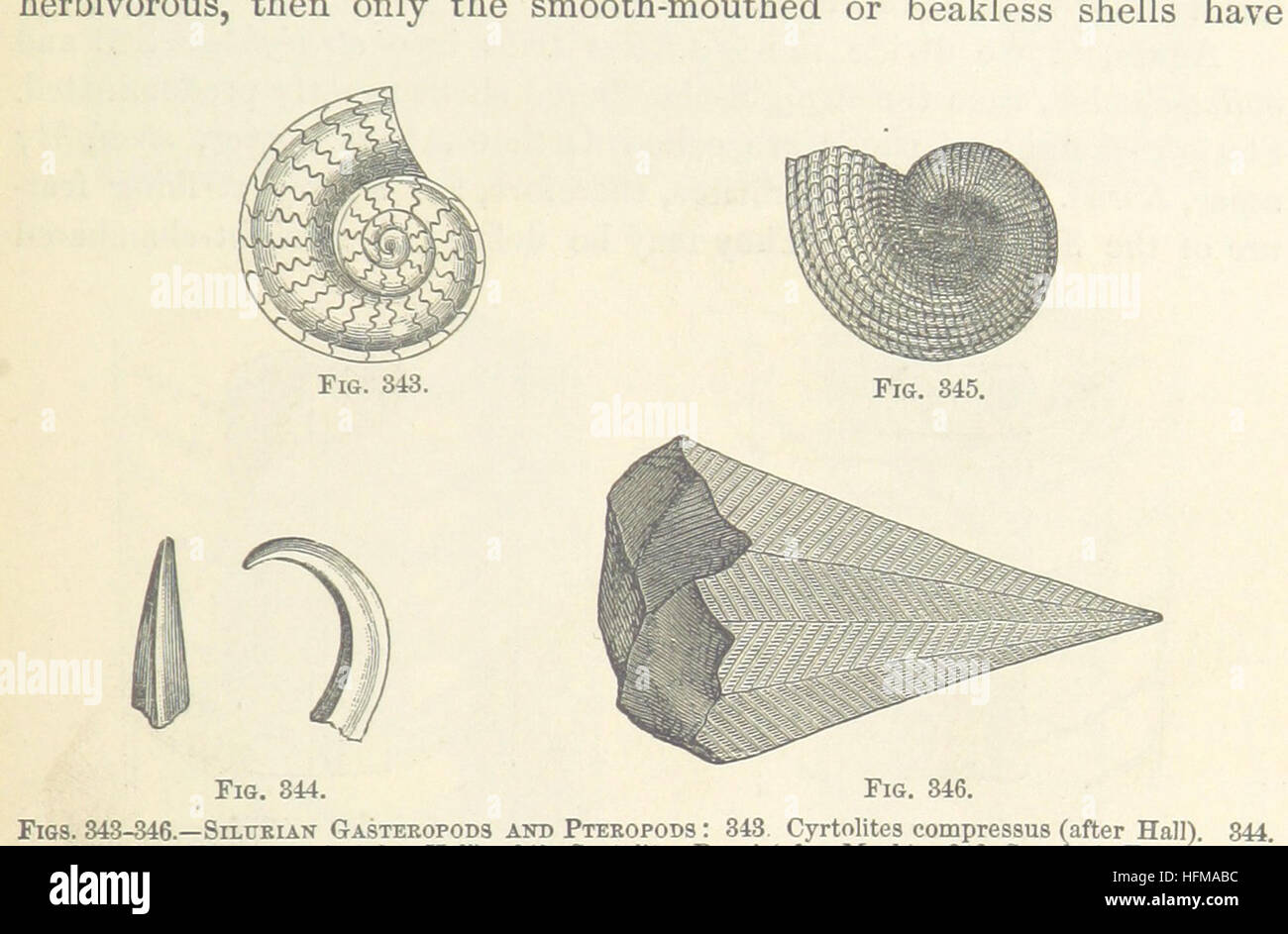 'Elements of Geology' is a textbook covering the fundamentals of ...