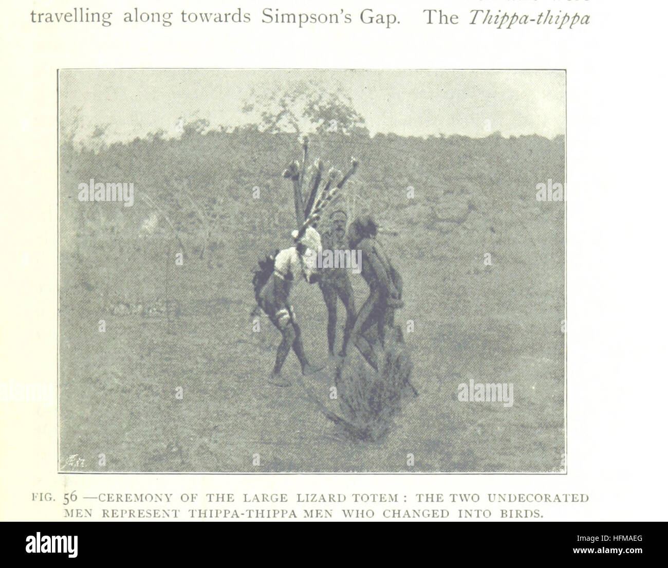 An ethnographic study of the native tribes of Central Australia ...