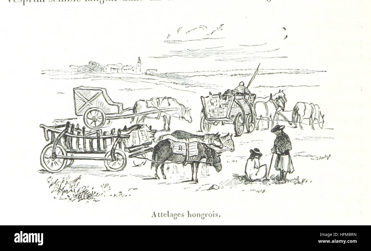 This book offers a detailed visual and descriptive exploration of ...