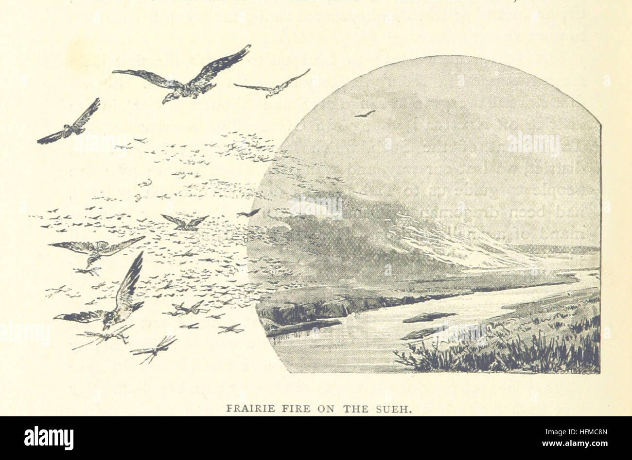 This travel narrative recounts the author's journeys across Africa from ...