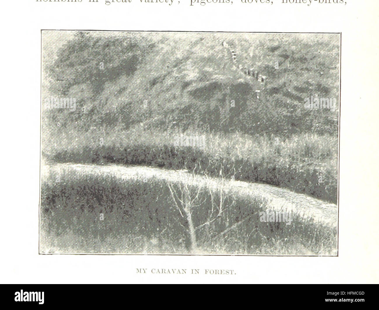 This image from 'In Dwarf Land and Cannibal Country' illustrates a ...