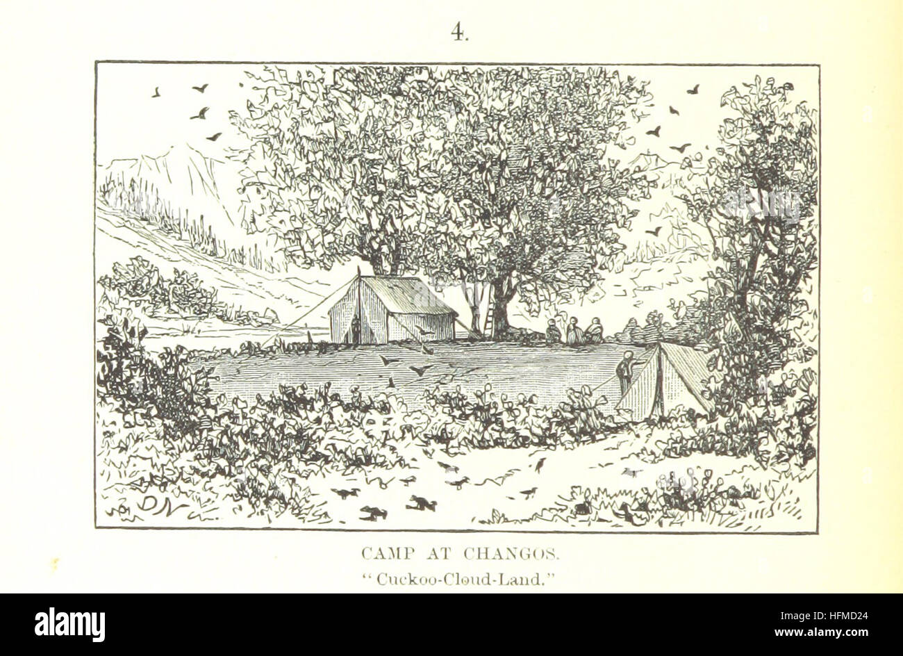 Preliminary sketches hi-res stock photography and images - Alamy