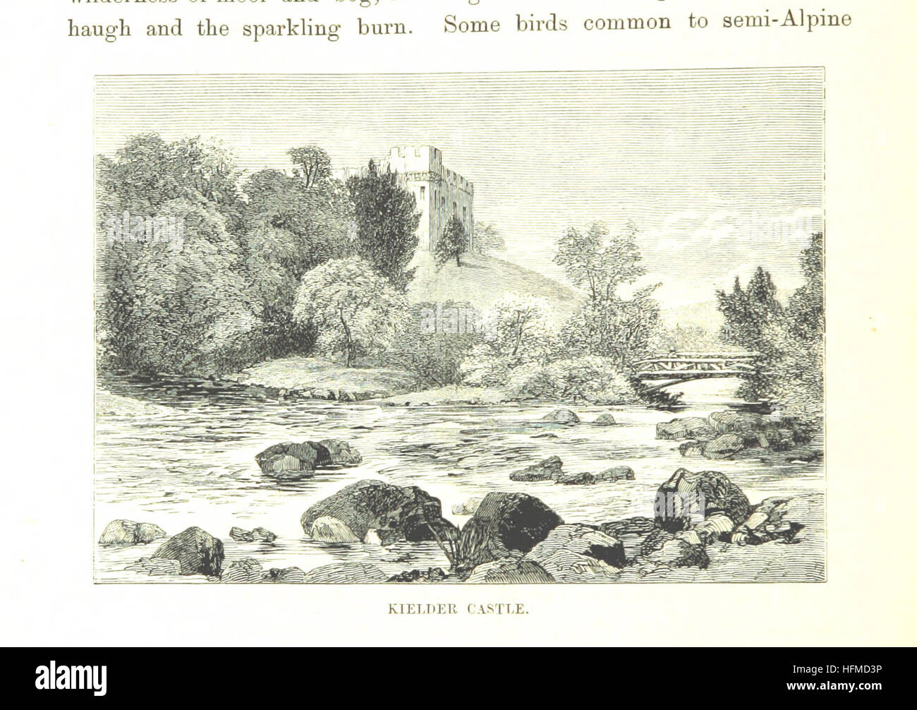 This work explores the Tyne River and its tributaries, providing ...