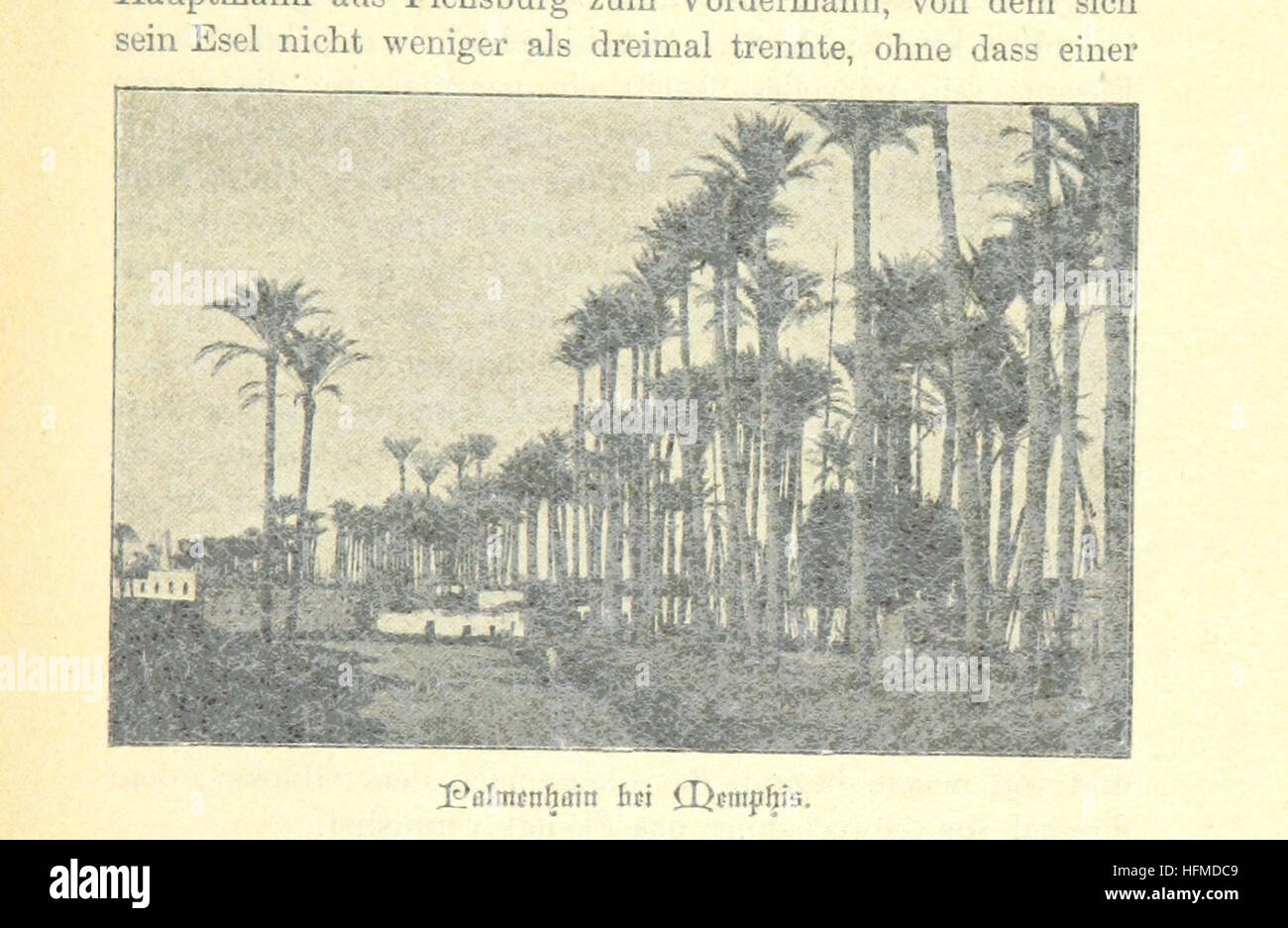 A modern cruise through the Levant, exploring the region's cultural ...